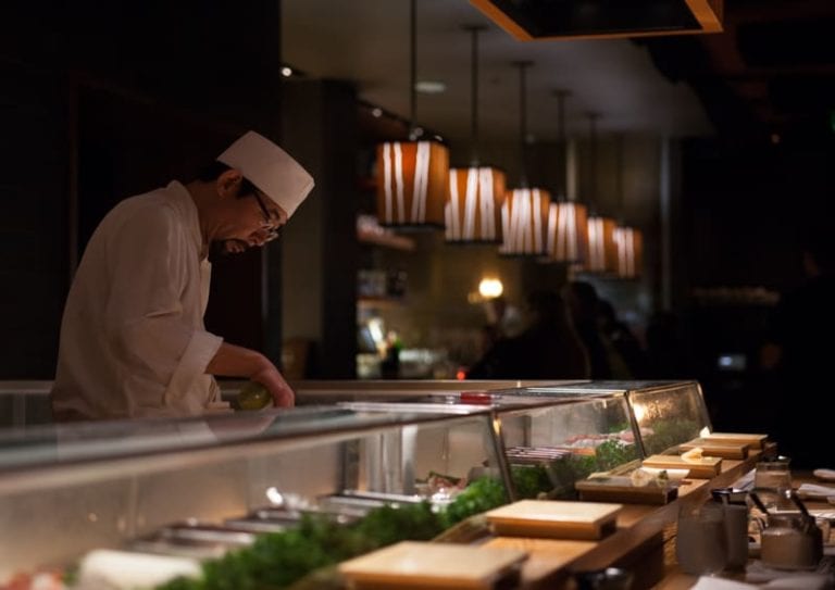 Pocosin Lakes National Wildlife Refuge: The Pungo Unit