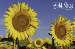 Paris in April - All You Need to Know!