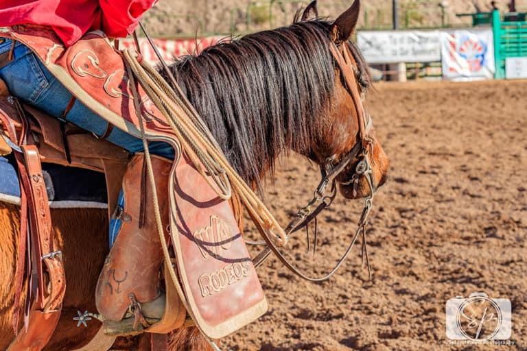 Arizona Weekend Adventures – Rodeos! - Misadventures with Andi