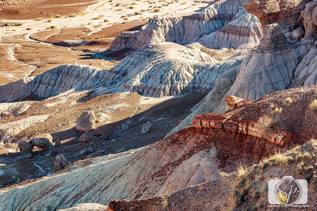 60+ Best Day Trips from Phoenix for 2023