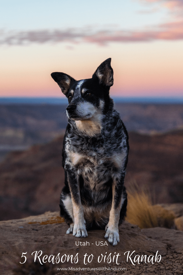 5 Reasons to visit Kanab Utah - Misadventures with Andi