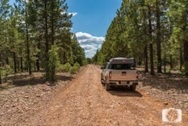 60+ Best Day Trips from Phoenix - Misadventures with Andi