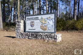 Pocosin Lakes National Wildlife Refuge: The Pungo Unit