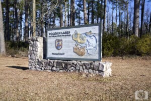 Pocosin Lakes National Wildlife Refuge: The Pungo Unit