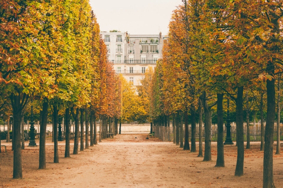 Paris in October 2025: Weather, What to Wear + more! - Misadventures ...