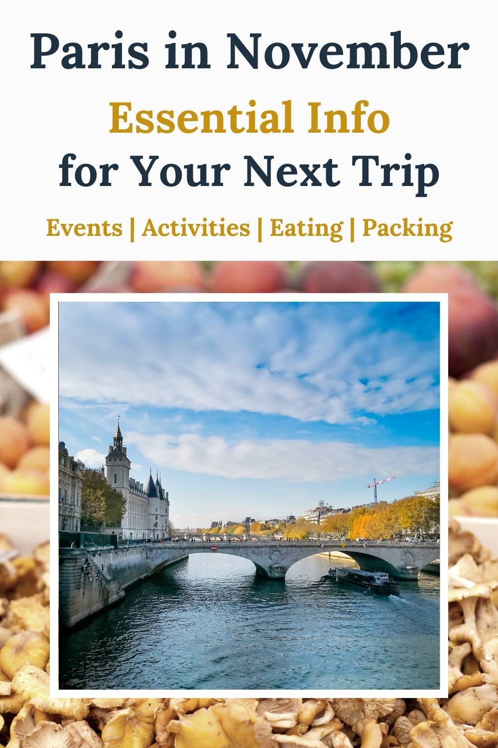 Visiting Paris in November 2023 - Misadventures with Andi