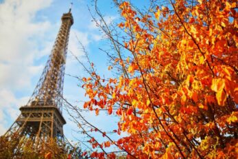 Paris in Autumn - Misadventures with Andi
