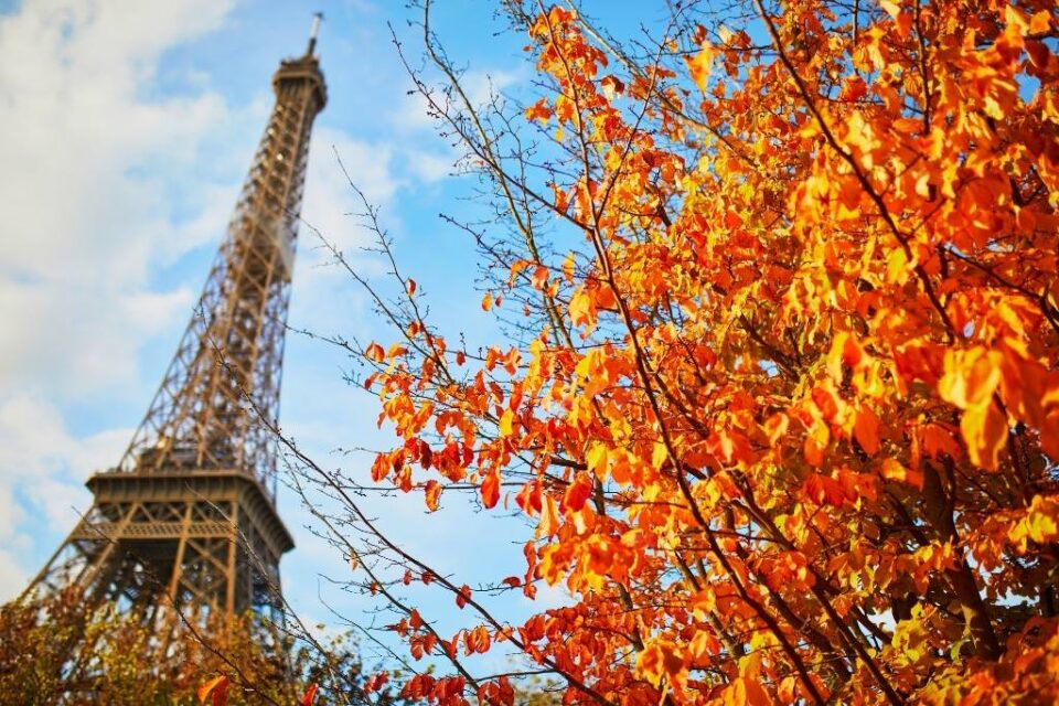 Paris in Autumn - Misadventures with Andi