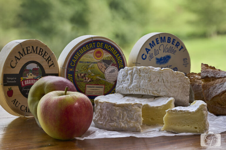 All About Camembert - Misadventures with Andi